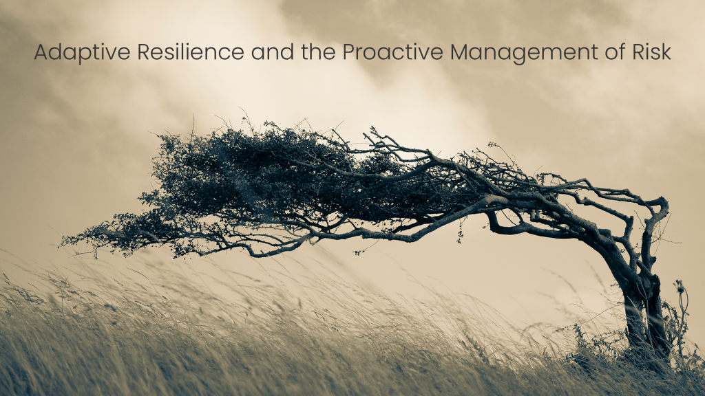 Adaptive Resilience and the Proactive Management of Risk – OPEN